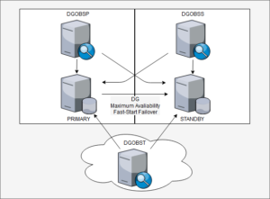 Observer, More Than One - Fernando Simon